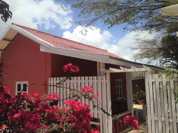 Woning Huren Appartement Sabanilla Abou Santa Cruz Aruba 2023 woning-huren-appartement-sabanilla-abou-santa-cruz-aruba-2023