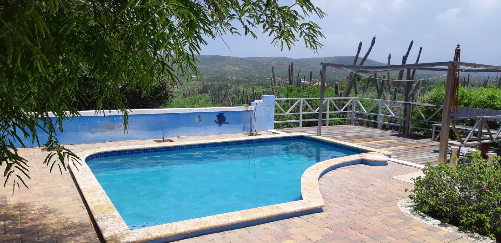 Woning huren: Ruime studio long term Rooi Santo, Aruba - 2022
